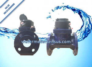 Flow Meter SENSUS WPI 12"- water meter sensus type WPI DN300